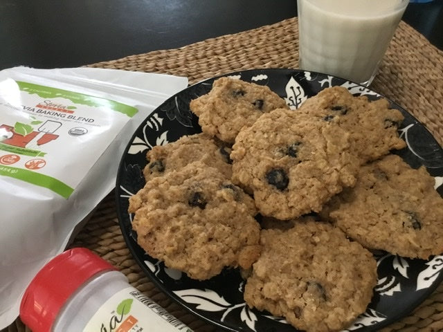 Low Carb Oatmeal “Raisin” Cookies – Stevia Select